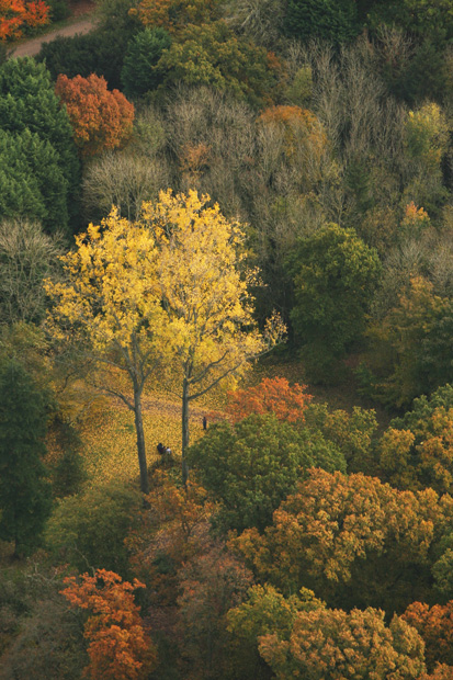 Notes on...Leaf-peeping in Gloucestershire | The Spectator Australia