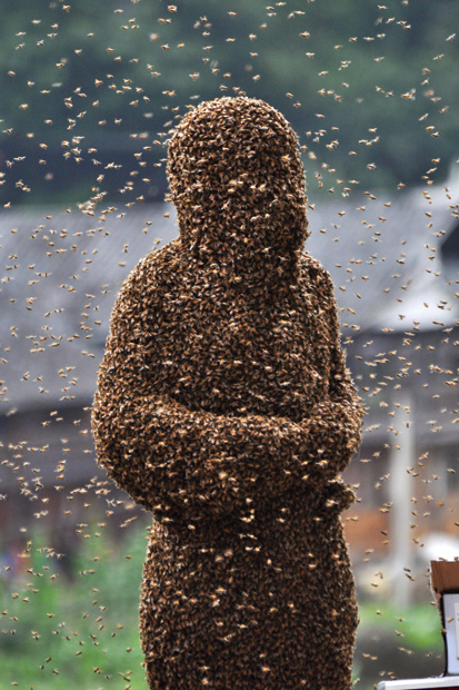 Is there honey still for tea? | The Spectator Australia