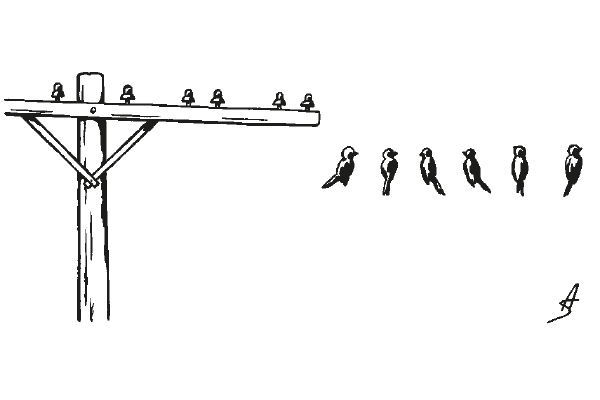 Wireless | The Spectator Australia