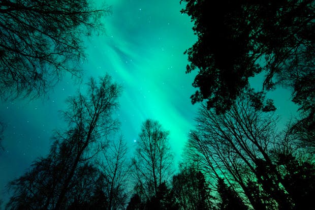 Northern exposure | The Spectator Australia