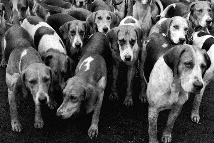 Bad behaviour | The Spectator Australia