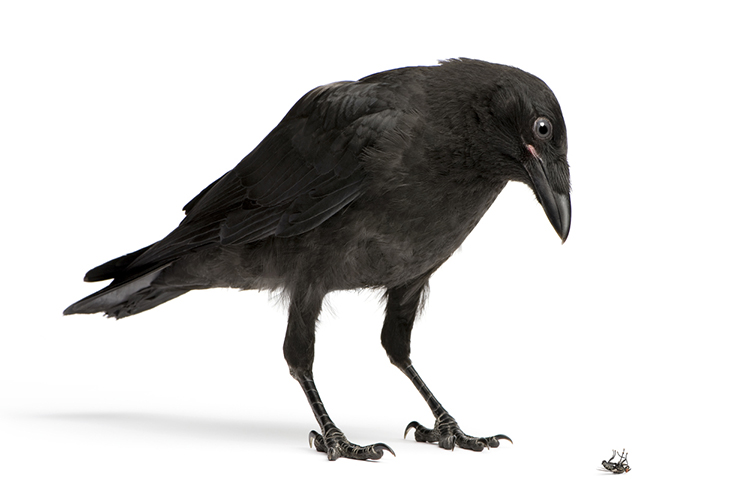 Natural England is overwhelmed – and farmers are paying the price | The ...