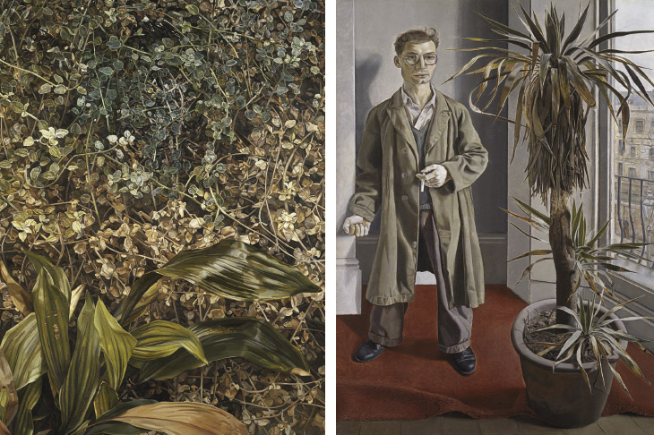 Was there some Freudian symbolism in Lucian’s botanical paintings ...