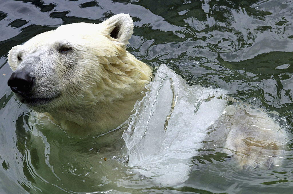 Peter Ridd has defeated the Climate Inquisition thanks to you | The ...