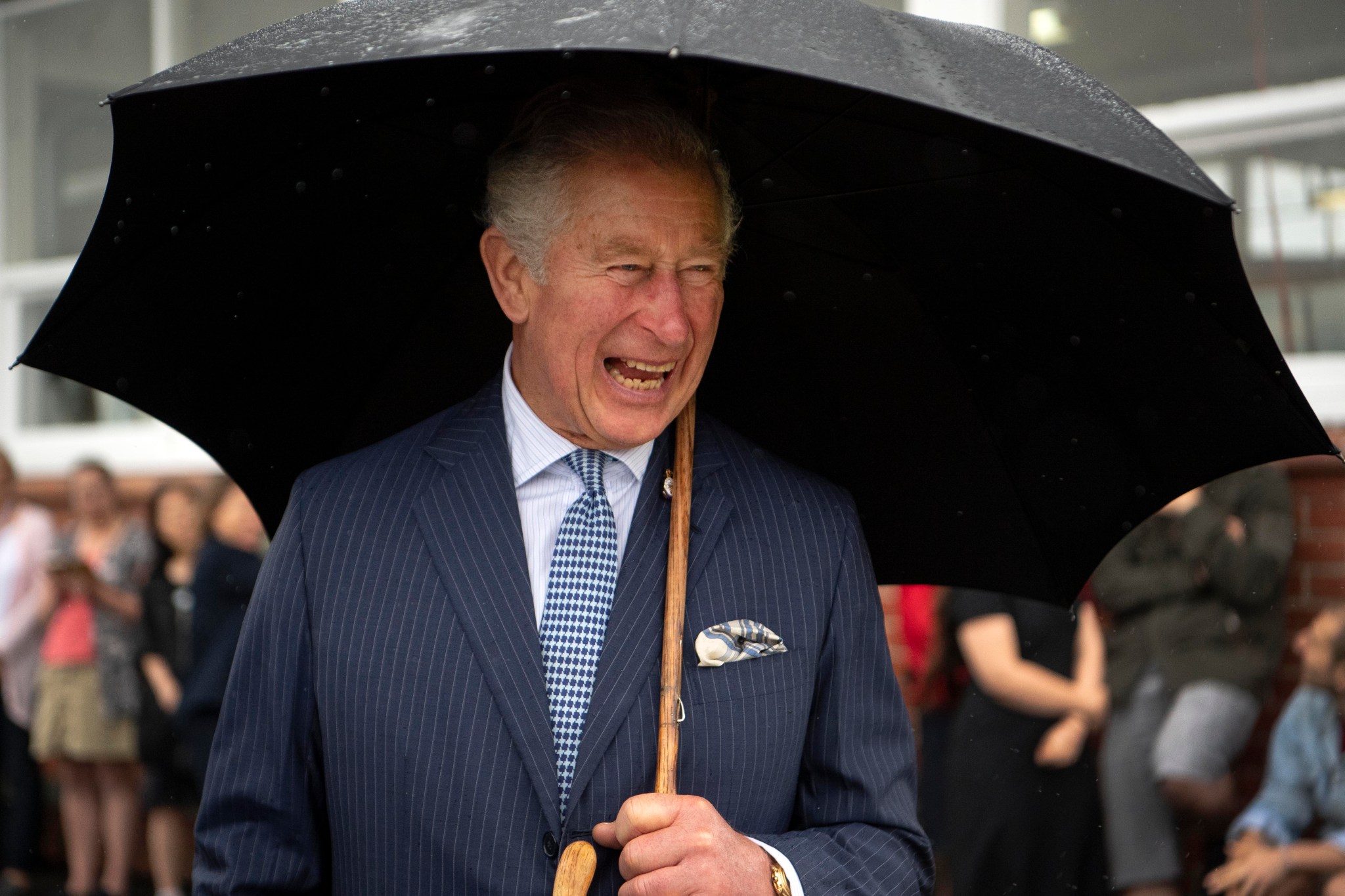 Prince Charles is now pulling the strings of the monarchy | The ...