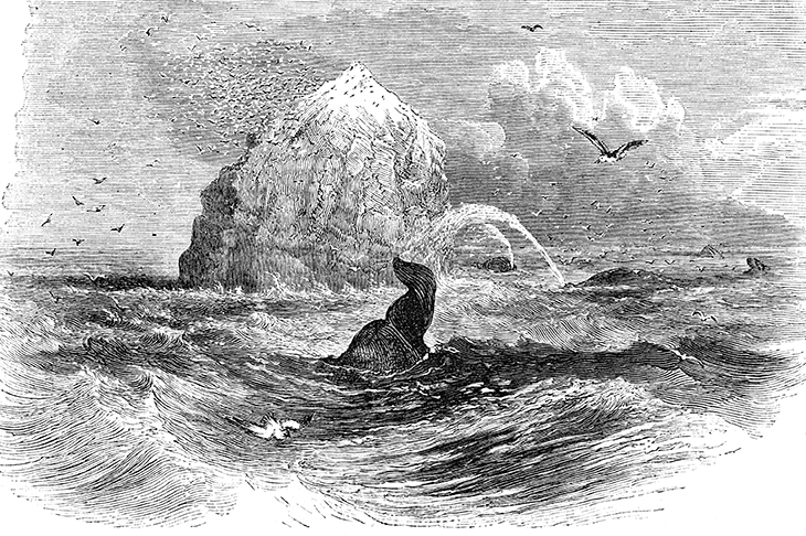 Rockall | The Spectator Australia