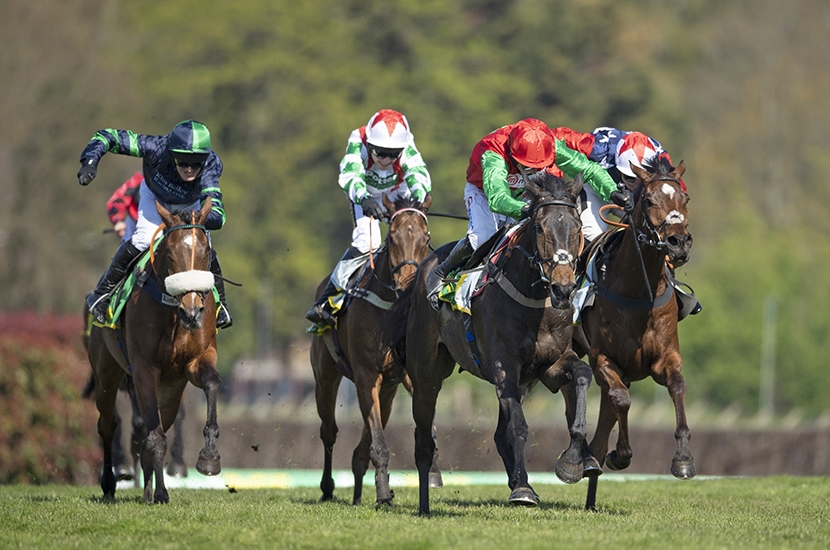 The turf | The Spectator Australia