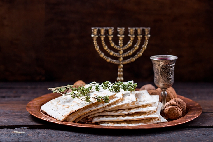 Spring lamb and the bread of affliction: our Zoom seder | The Spectator ...