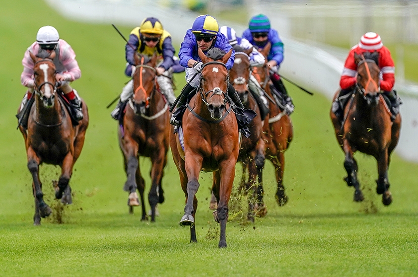 Racing badly needs the full relaxation of restrictions | The Spectator ...