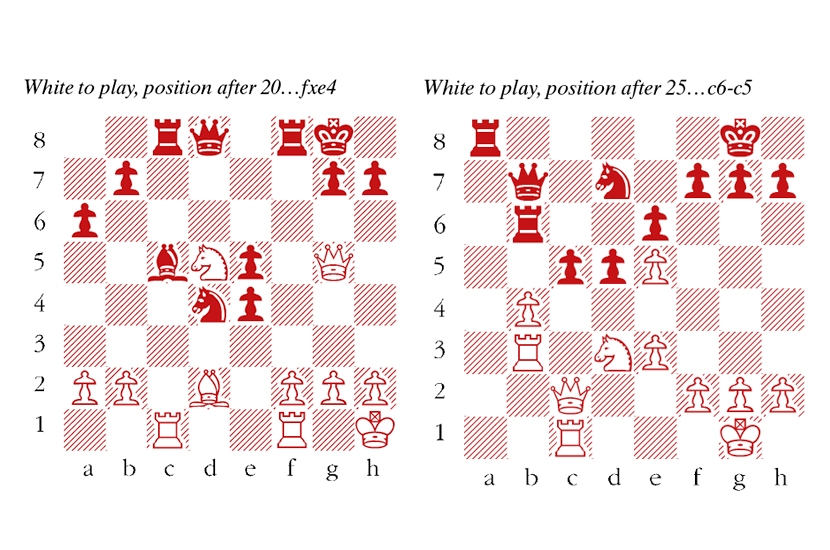 The back-rank mate | The Spectator Australia