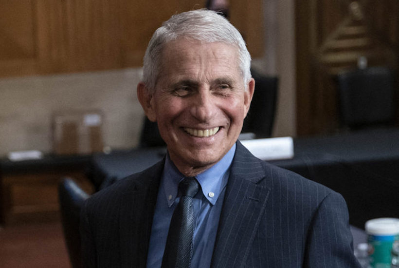The flailing Fauci fandom | The Spectator Australia