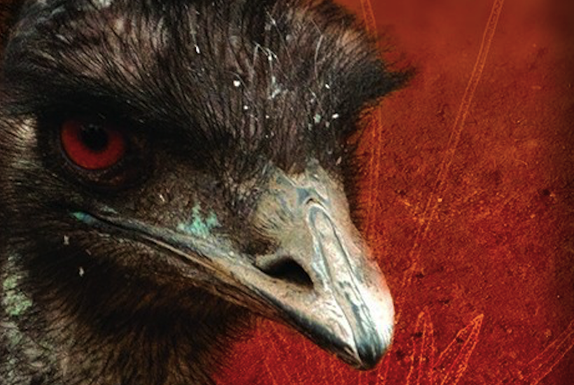 Shining a light on Dark Emu | The Spectator Australia