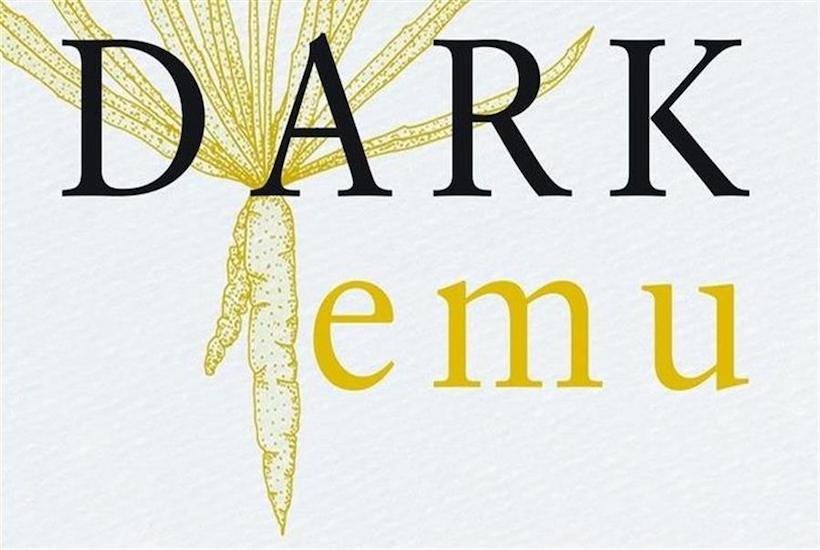 A straw man defence of Dark Emu | The Spectator Australia