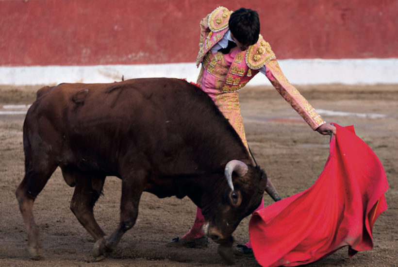 Why we need bullfighting | The Spectator Australia