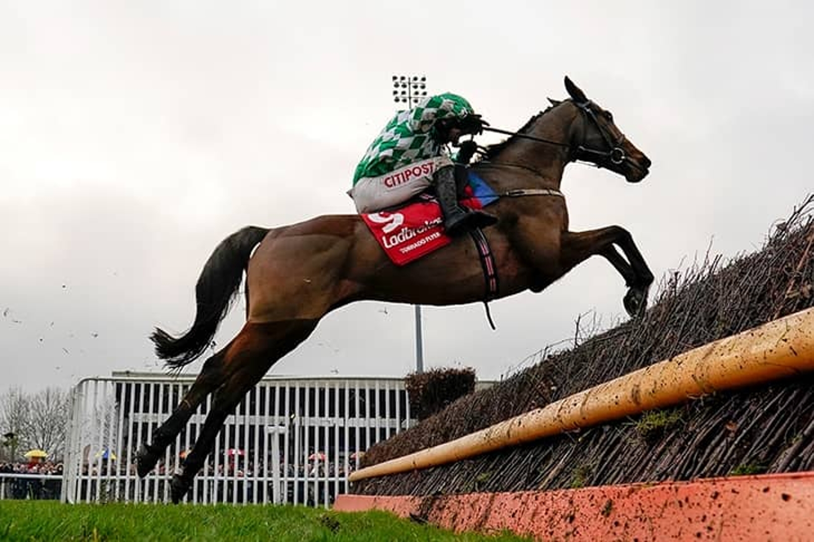 The turf | The Spectator Australia