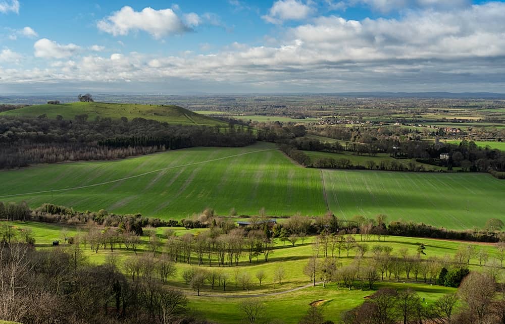 Chiltern Hundreds | The Spectator Australia