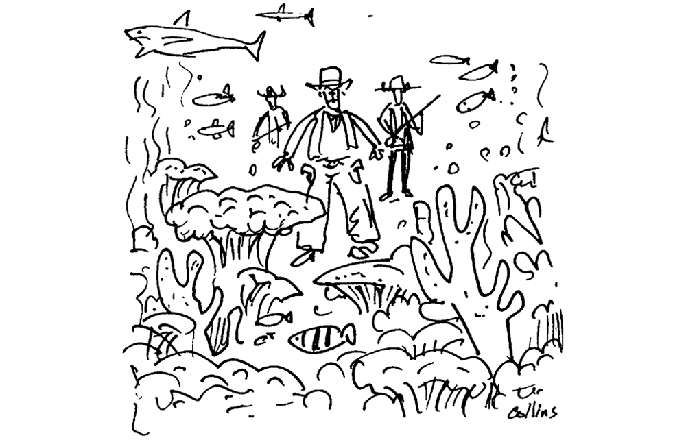 OK Coral | The Spectator Australia