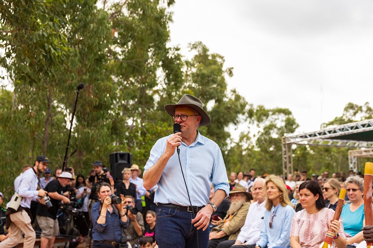 Author: Rowan Dean | The Spectator Australia