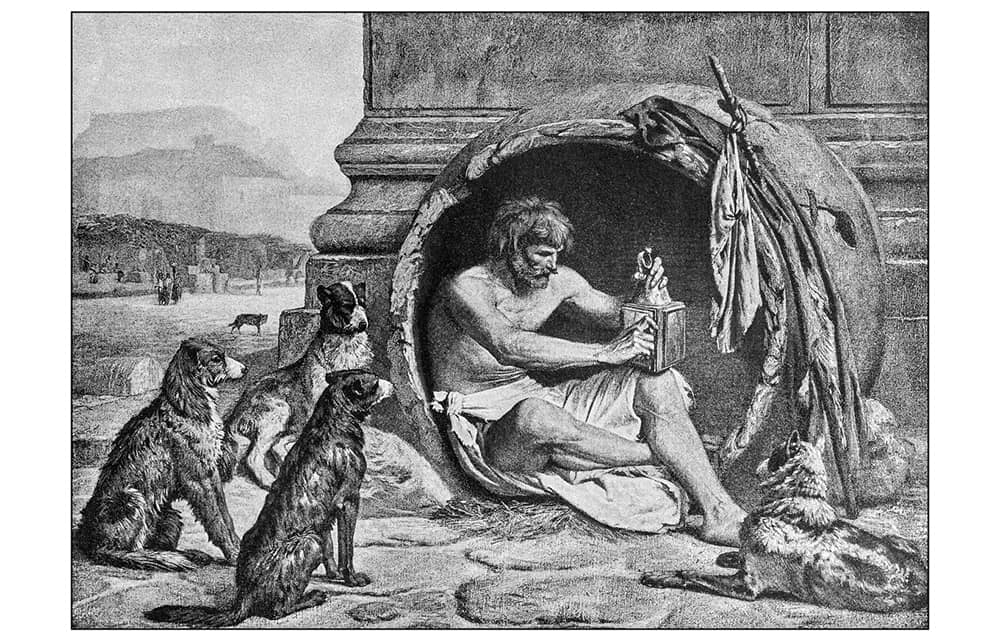 A dog’s life | The Spectator Australia