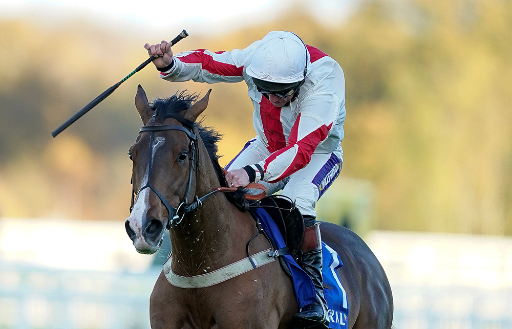 Ascot was a high-profile disaster for jump racing | The Spectator Australia