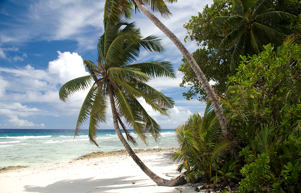 We’ve lost interest in our dependencies | The Spectator Australia