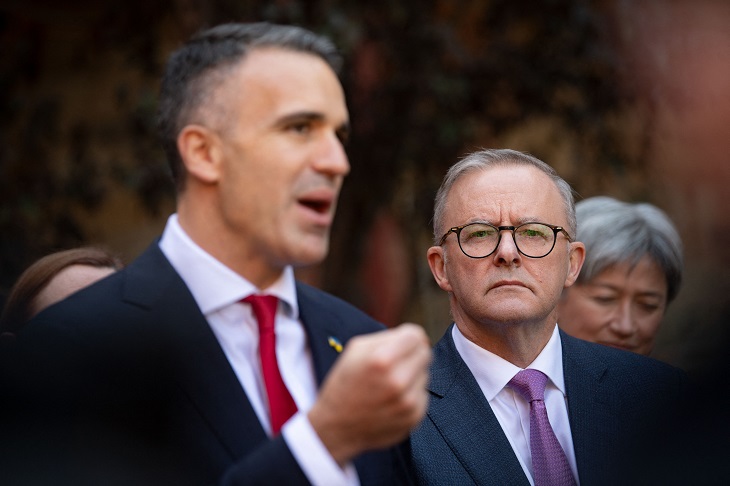 Rewiring the nation | The Spectator Australia