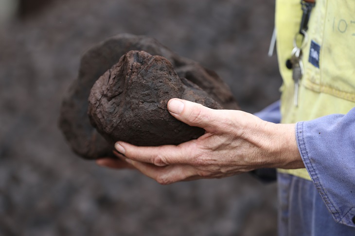 Stuart Bonds: the demise of Australian coal is a terrible experiment ...