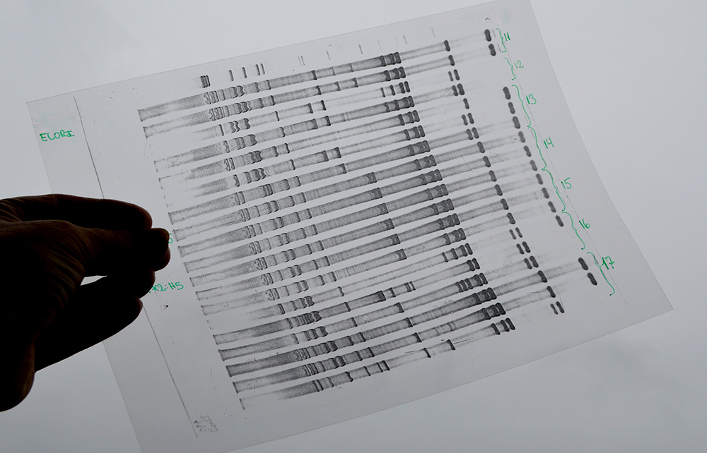 Author: Rod Liddle | The Spectator Australia