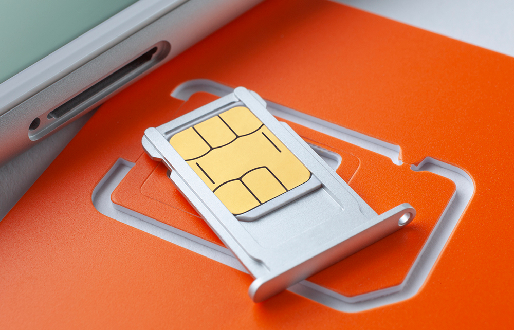 Author: Melissa Kite | The Spectator Australia