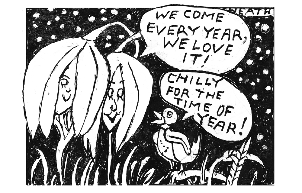 Snowdrops | The Spectator Australia