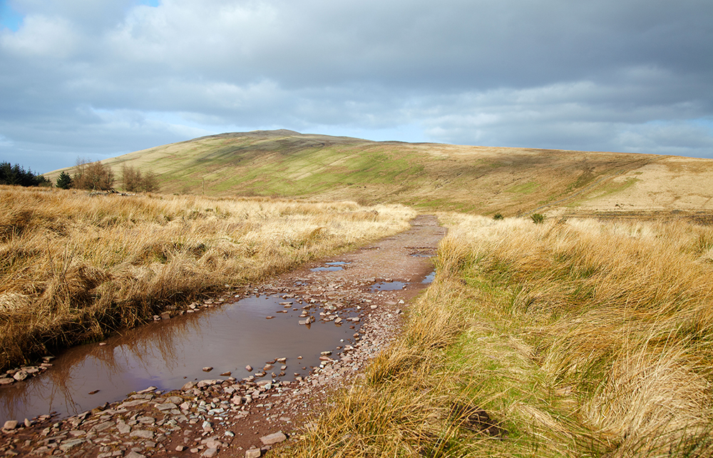 The plight of Wales | The Spectator Australia