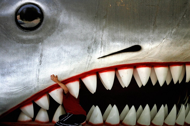 The jaws effect | The Spectator Australia