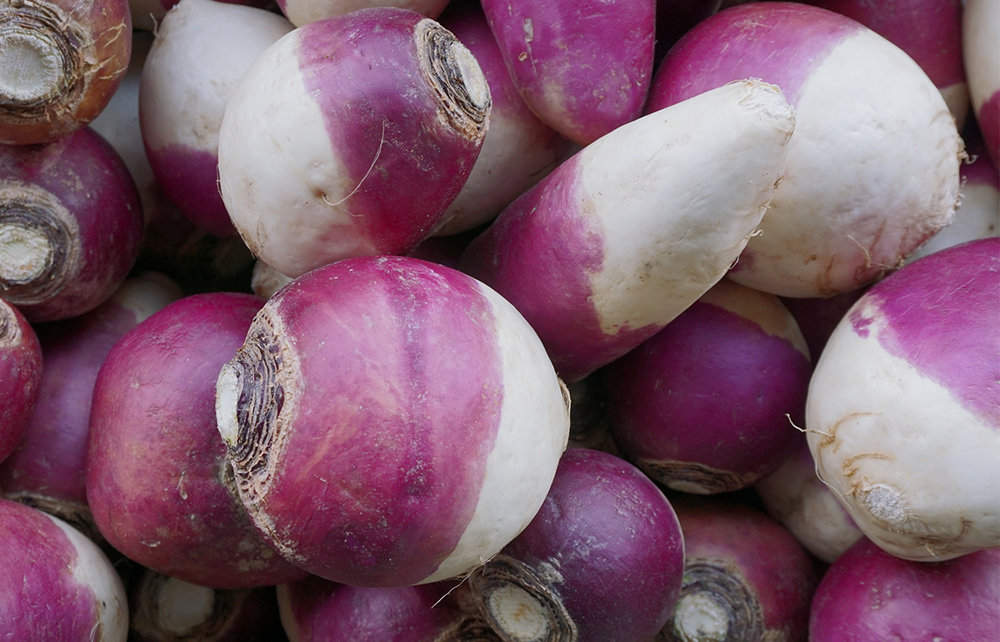 Vegetarian | The Spectator Australia