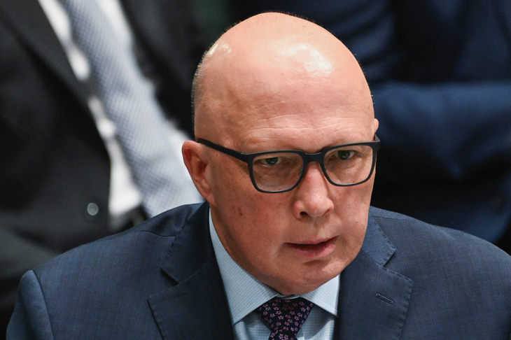 Brown study | The Spectator Australia