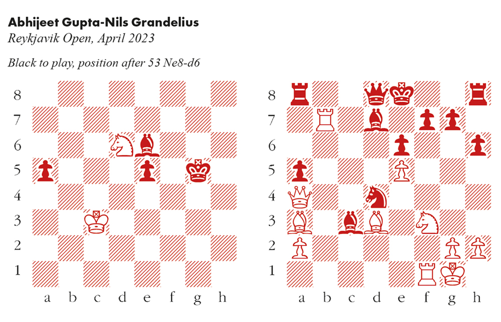 Reykjavik Open | The Spectator Australia