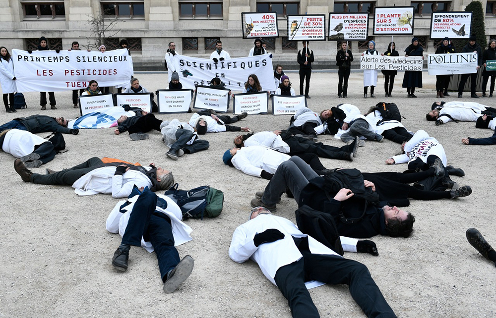 Woke language | The Spectator Australia