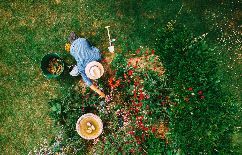 Dear Mary | The Spectator Australia