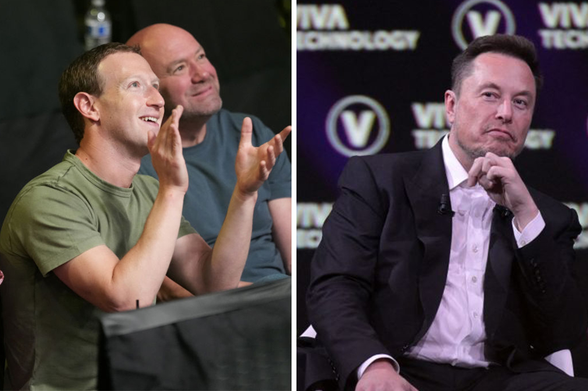 The people deserve a Mark Zuckerberg-Elon Musk cage fight in Vegas ...
