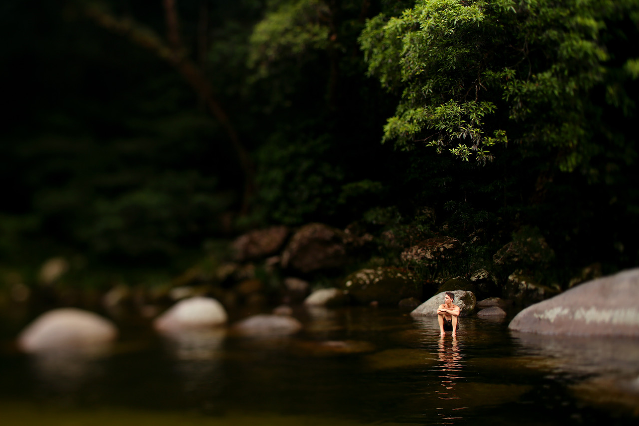 Author: Rebecca Weisser | The Spectator Australia