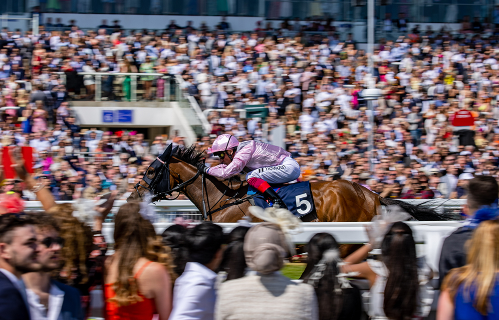 The turf | The Spectator Australia