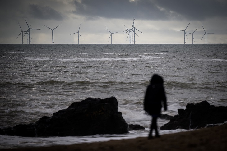 The big Teal regret over wind farms: flattened rainforests and ruined ...