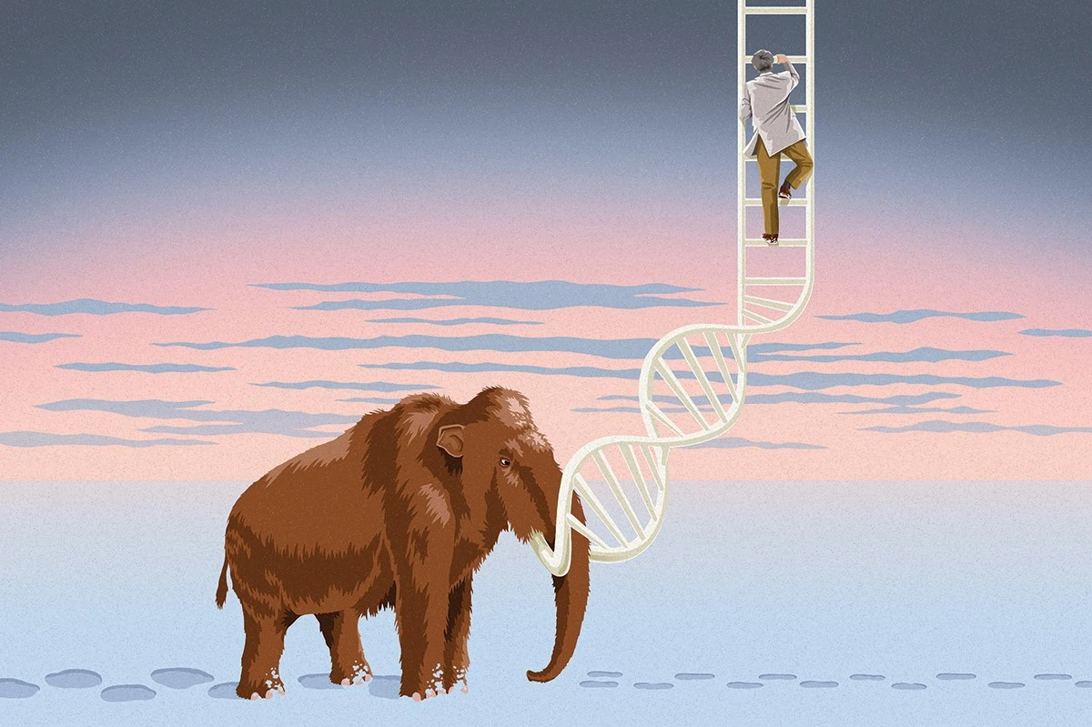 Meet the men who want to bring back the woolly mammoth | The Spectator ...