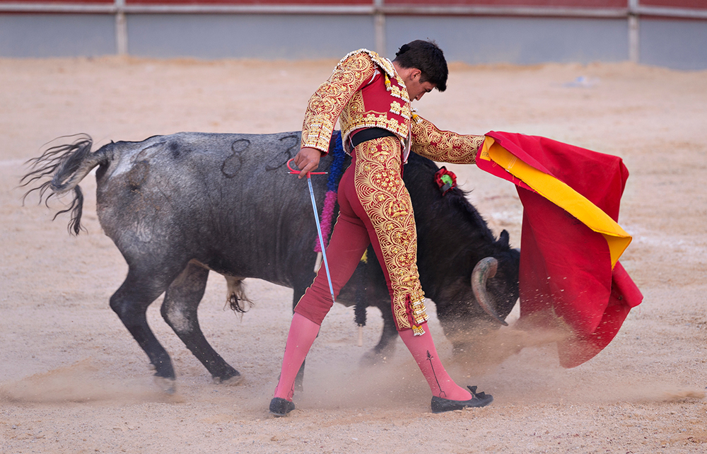 What wine should you serve to a matador? | The Spectator Australia