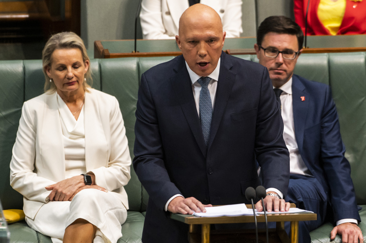 Brown study | The Spectator Australia