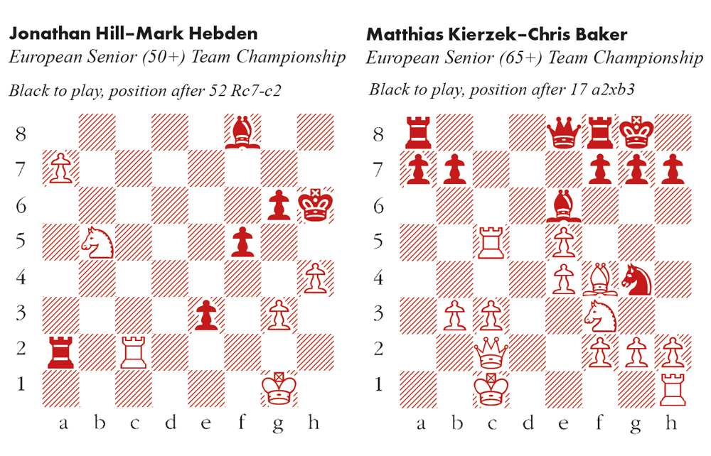 Senior teams | The Spectator Australia