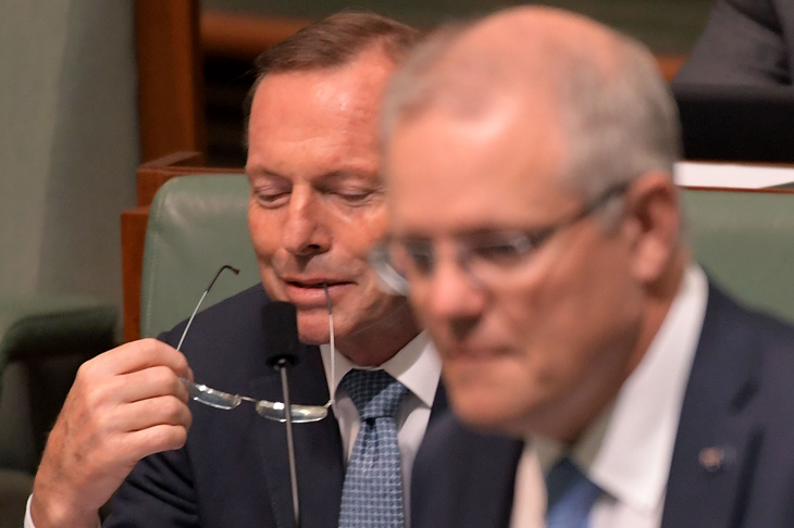 Author: David Flint | The Spectator Australia