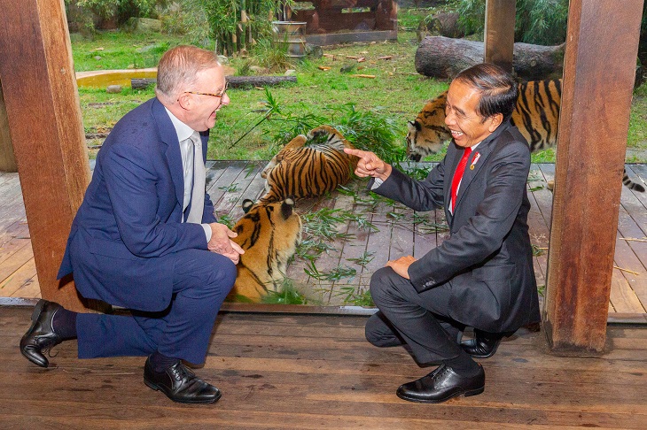 Gippsland’s native timber industry: saving the Leadbeater’s Possum ...