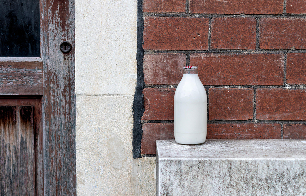 Hail dairy | The Spectator Australia