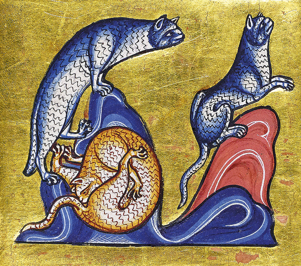 The beauty of medieval bestiaries | The Spectator Australia