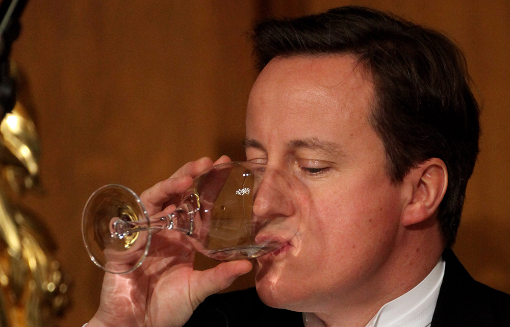 I hope David Cameron will find time to drink the odd good bottle | The ...